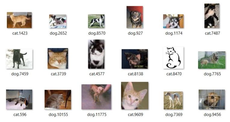 Python : Tensorflow – SMALL DATA BRAINS